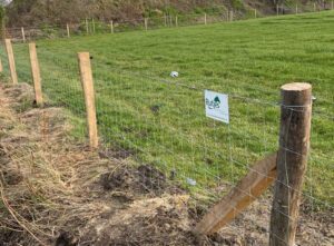 Afrastering gaas | gekloofd gezaagde robinia palen